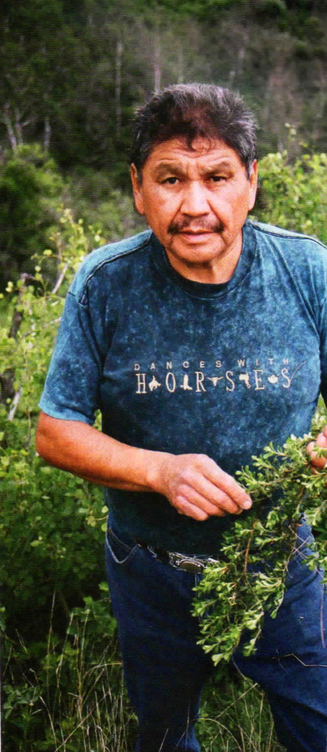 About – Honouring the Buffalo: A Plains Cree Legend